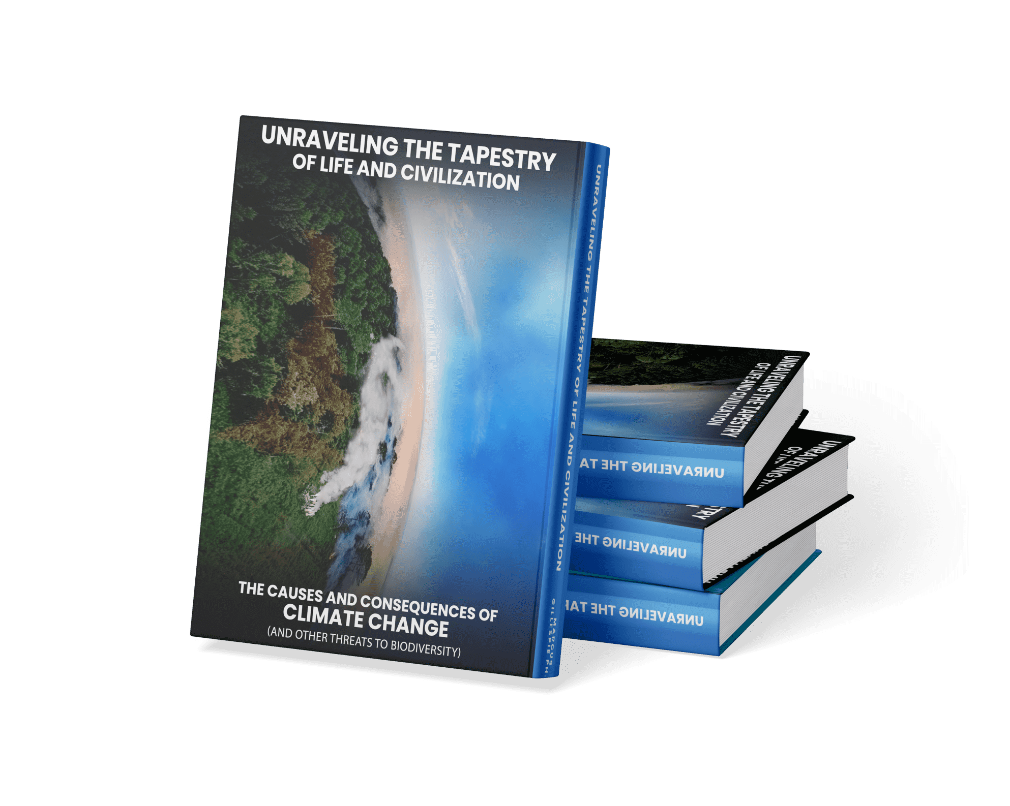 Leading Book Editing & Formating Services in The USA | Paramount Book ...